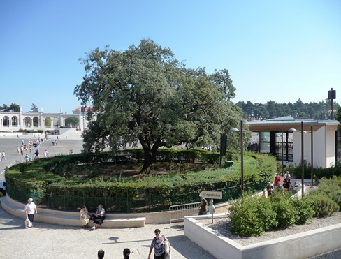 Click: Portugal – Santuário de Fátima – Fátima